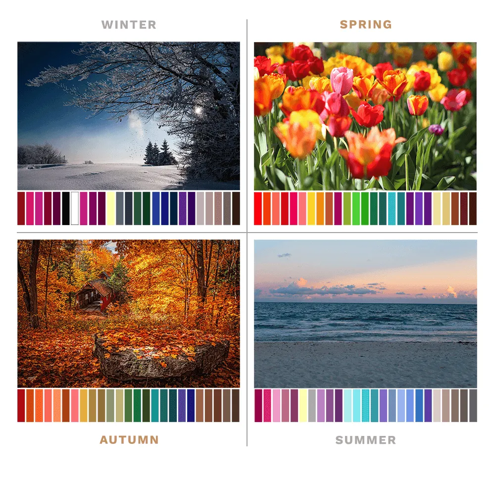 Color Analysis Find Your Color Season A Comprehensive Guide Color Color Analysis Find Your Color Season A Comprehensive Guide Color